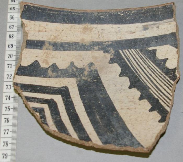 SaskCollections : Artifact : Pottery Sherd [1996.x.21]